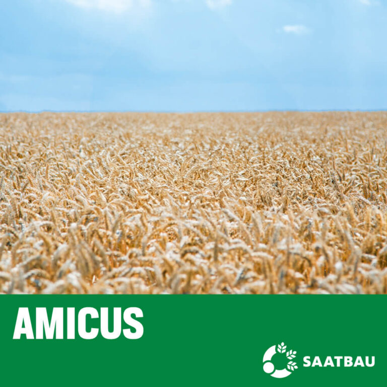Pšenica Amicus PREMIUM C2 25 kg - Agronom