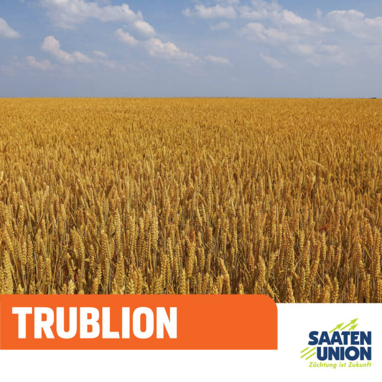 Pšenica Trublion C2 25 kg - Agronom